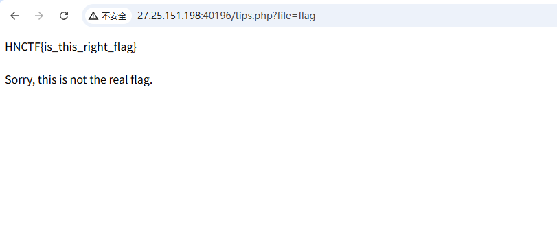 HNCTF-2025-部分web复现 - Suzen